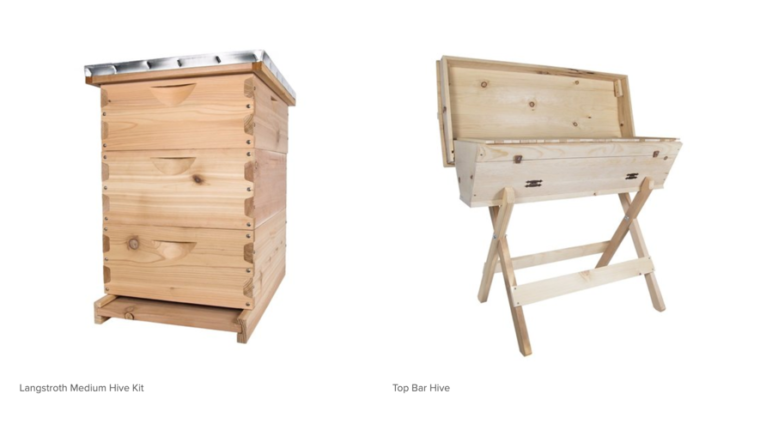 This or That? Choosing Your Hive Type - Two Hives Honey - Honey and ...