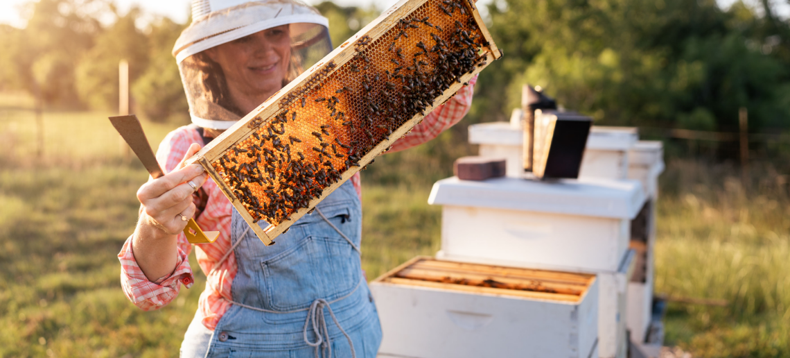 Explore Two Hives - Two Hives Honey - Honey and Hive Tours in Austin, TX