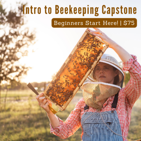 Online Beekeeping Classes - Two Hives Honey - Honey and Hive Tours in ...