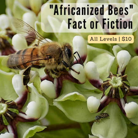 Online Beekeeping Classes - Two Hives Honey - Honey and Hive Tours in ...