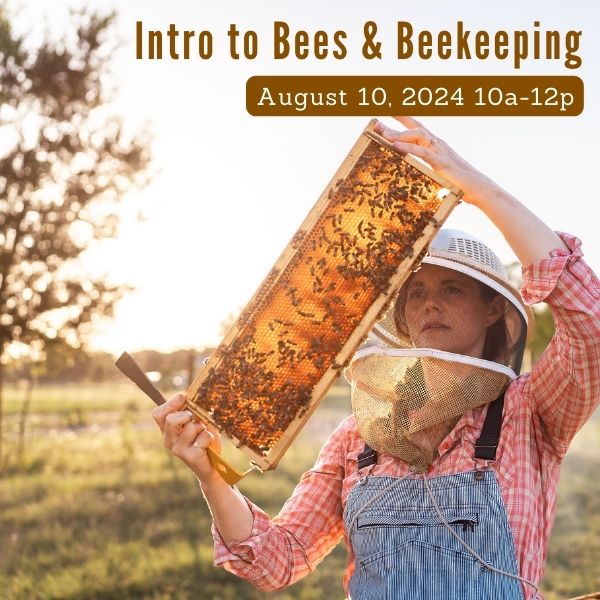 Upcoming Events - Two Hives Honey - Honey and Hive Tours in Austin, TX